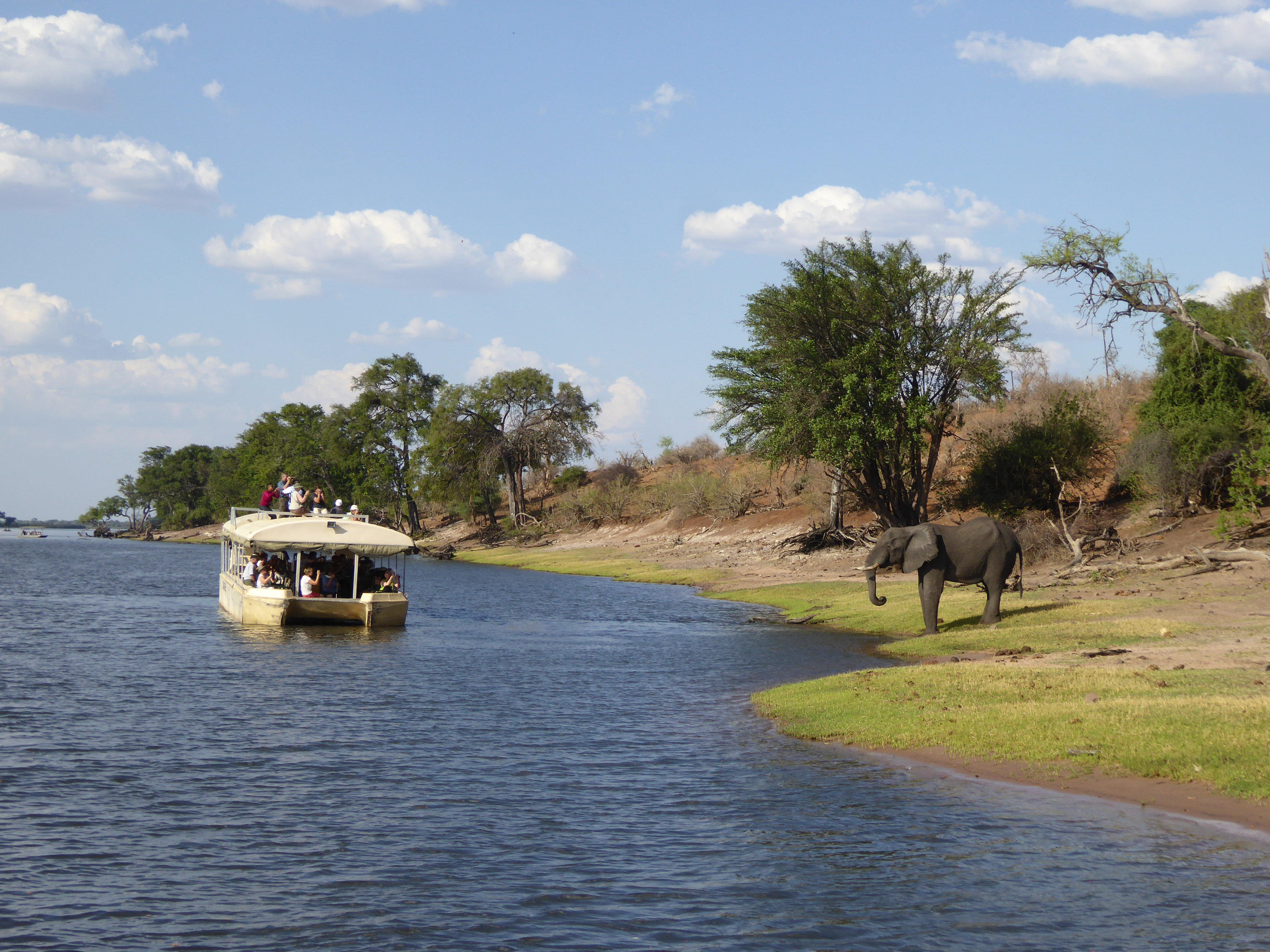 Flussfahrt auf dem Chobe River | Sunniest Way Reiseblog